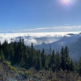 Mount Walker, Washington - 2,003 Reviews, Map | AllTrails