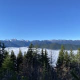 Mount Walker, Washington - 2,003 Reviews, Map | AllTrails