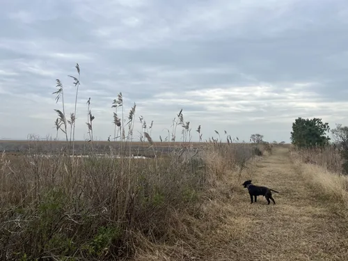Best Hikes and Trails in Magothy Bay Natural Area Reserve | AllTrails