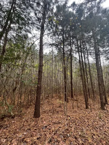 Best Hikes and Trails in Magothy Bay Natural Area Reserve | AllTrails