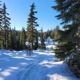 Mount Albert Edward, British Columbia, Canada - 569 Reviews, Map ...