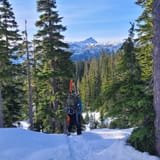 Mount Albert Edward, British Columbia, Canada - 569 Reviews, Map ...