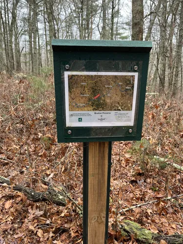 Best Hikes and Trails in Bradner Preserve | AllTrails