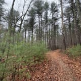 Goodwin Trail, Connecticut - 281 Reviews, Map | AllTrails
