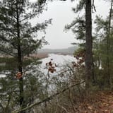 Batsto Lake Trail, New Jersey - 1,509 Reviews, Map | AllTrails