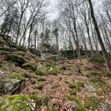 Sandstone Falls Boardwalk and Island Loop Trail, West Virginia - 663 ...
