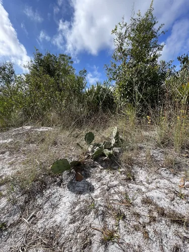 Best Hikes and Trails in Rye Preserve | AllTrails