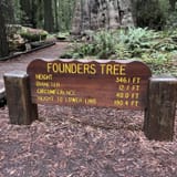 Founders Grove Nature Trail, California - 1,178 Reviews, Map | AllTrails