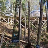 Fall Branch Falls Trail, Georgia - 1,078 Reviews, Map | AllTrails