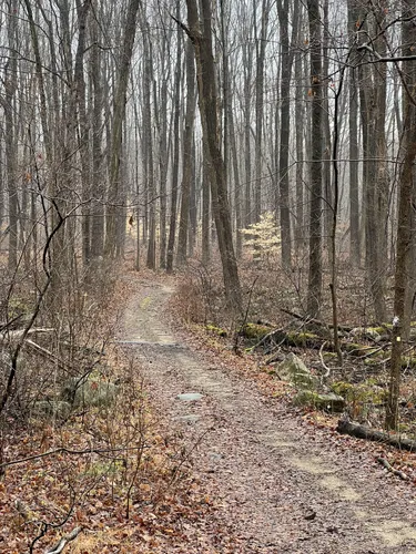Best Hikes and Trails in Weldon Brook Wildlife Management Area | AllTrails