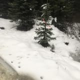 Umatilla Rim Trail, Oregon - 45 Reviews, Map | AllTrails