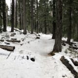 Umatilla Rim Trail, Oregon - 45 Reviews, Map | AllTrails