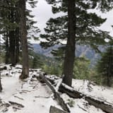 Umatilla Rim Trail, Oregon - 45 Reviews, Map | AllTrails