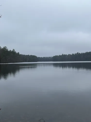 Best Hikes and Trails in Rutland State Park | AllTrails