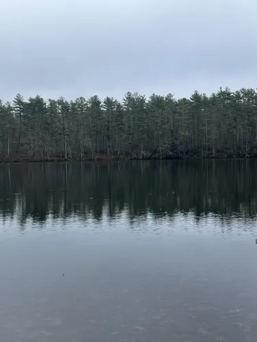 Best Hikes and Trails in Rutland State Park | AllTrails