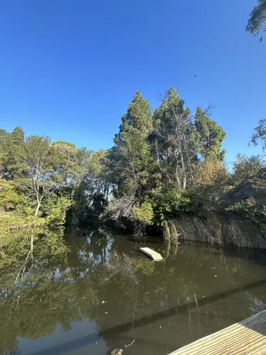 Best Hikes and Trails in El Dorado East Regional Park | AllTrails