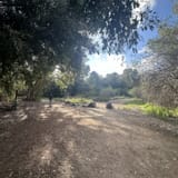 El Dorado Park Nature Trail, California - 1,491 Reviews, Map | AllTrails