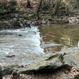 Difficult Run Trail, Virginia - 694 Reviews, Map | AllTrails