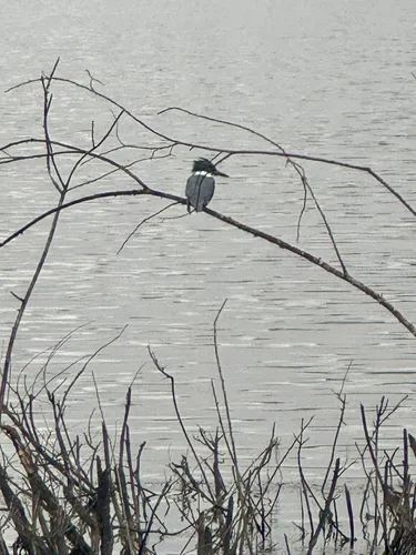 Best Hikes and Trails in Ford's Pond | AllTrails