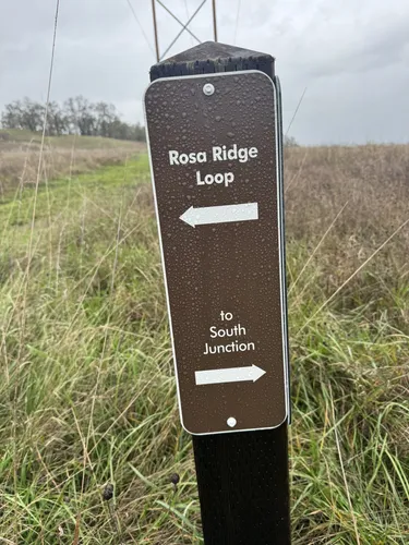 Best Hikes and Trails in Ford's Pond | AllTrails