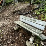 Wesley Ridge, British Columbia, Canada - 716 Reviews, Map | AllTrails