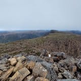 Mount Field West via Naturalist Peak, Tasmania, Australia - 39 Reviews ...
