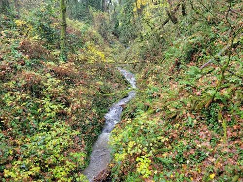 Best Hikes and Trails in Burnside Park | AllTrails