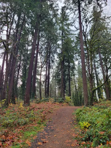 Best Hikes and Trails in Burnside Park | AllTrails