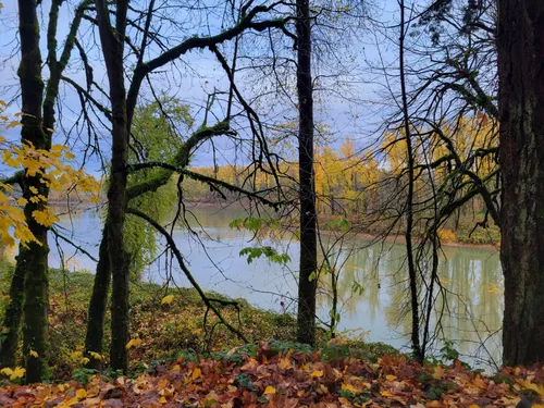 Best Hikes and Trails in Burnside Park | AllTrails