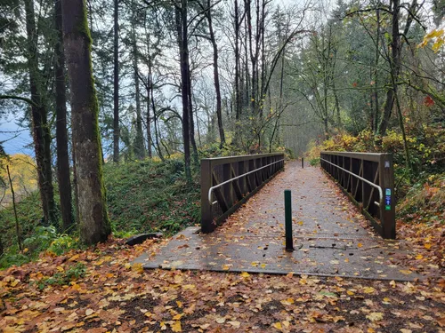 Best Hikes and Trails in Burnside Park | AllTrails
