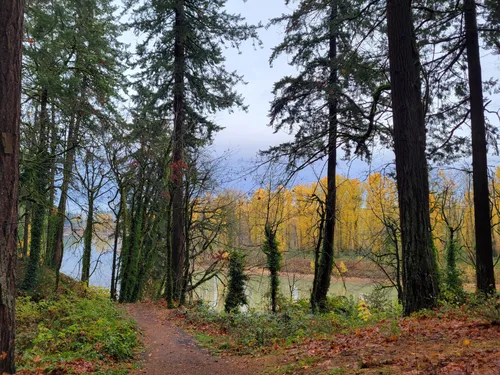 Best Hikes and Trails in Burnside Park | AllTrails