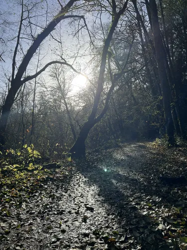 Best Hikes and Trails in Puyallup | AllTrails