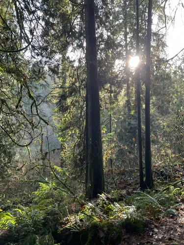 Best Hikes and Trails in Puyallup | AllTrails