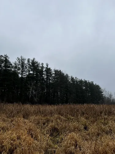 Best Forest Trails in Howe | AllTrails