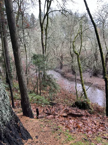 Best Hikes and Trails in Rood Bridge Park | AllTrails