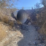 Dreamy Draw Loop Trail, Arizona - 1,095 Reviews, Map | AllTrails