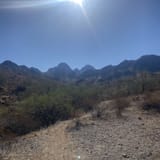 Dreamy Draw Loop Trail, Arizona - 1,095 Reviews, Map | AllTrails