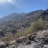 Dreamy Draw Loop Trail, Arizona - 1,095 Reviews, Map | AllTrails