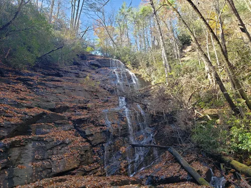 Best Trails near Horse Trough Falls | AllTrails