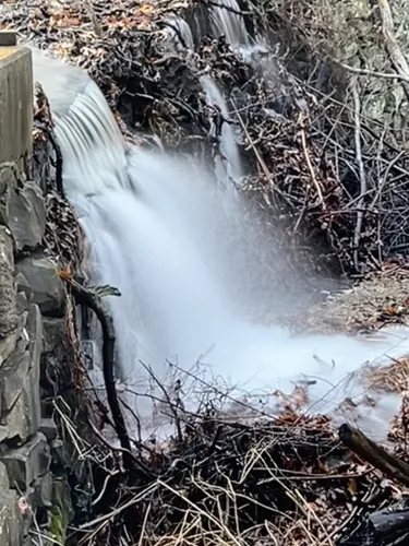 Best Hikes and Trails in Highland Pond Preserve | AllTrails