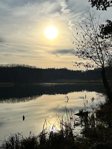 Best Hikes and Trails in Highland Pond Preserve | AllTrails