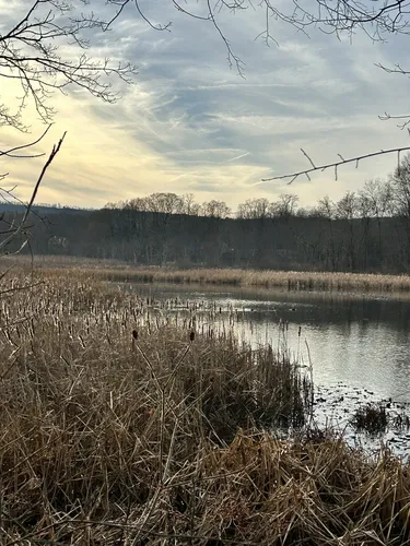 Best Hikes and Trails in Highland Pond Preserve | AllTrails