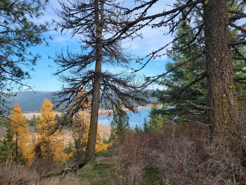 Best Hikes and Trails in McKenzie Conservation Area | AllTrails