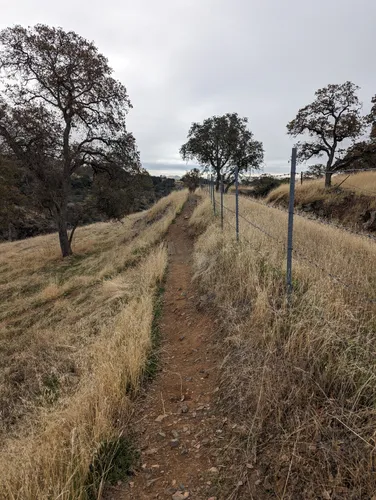 Best Hikes and Trails in Knights Ferry Recreation Area | AllTrails