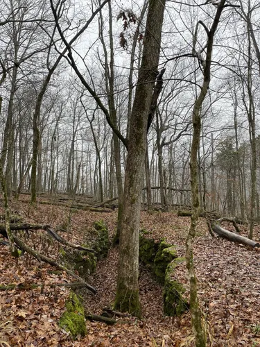 Best 10 Hiking Trails in Tom Dorman State Nature Reserve | AllTrails