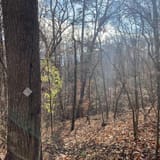 Forty Acre Rock Trail, South Carolina - 518 Reviews, Map | AllTrails