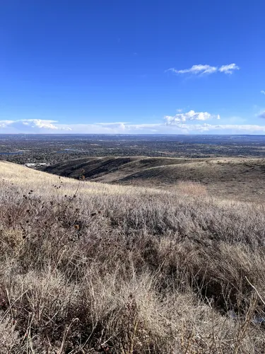 Best Forest Trails in Denver | AllTrails