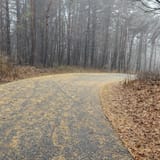 Mount Philo Western Loop, Vermont - 863 Reviews, Map | AllTrails