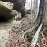 Hemlock Cliffs National Scenic Trail, Indiana - 1,138 Reviews, Map ...