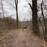 Emerald View and Grandview Parks Loop, Pennsylvania - 360 Reviews, Map ...